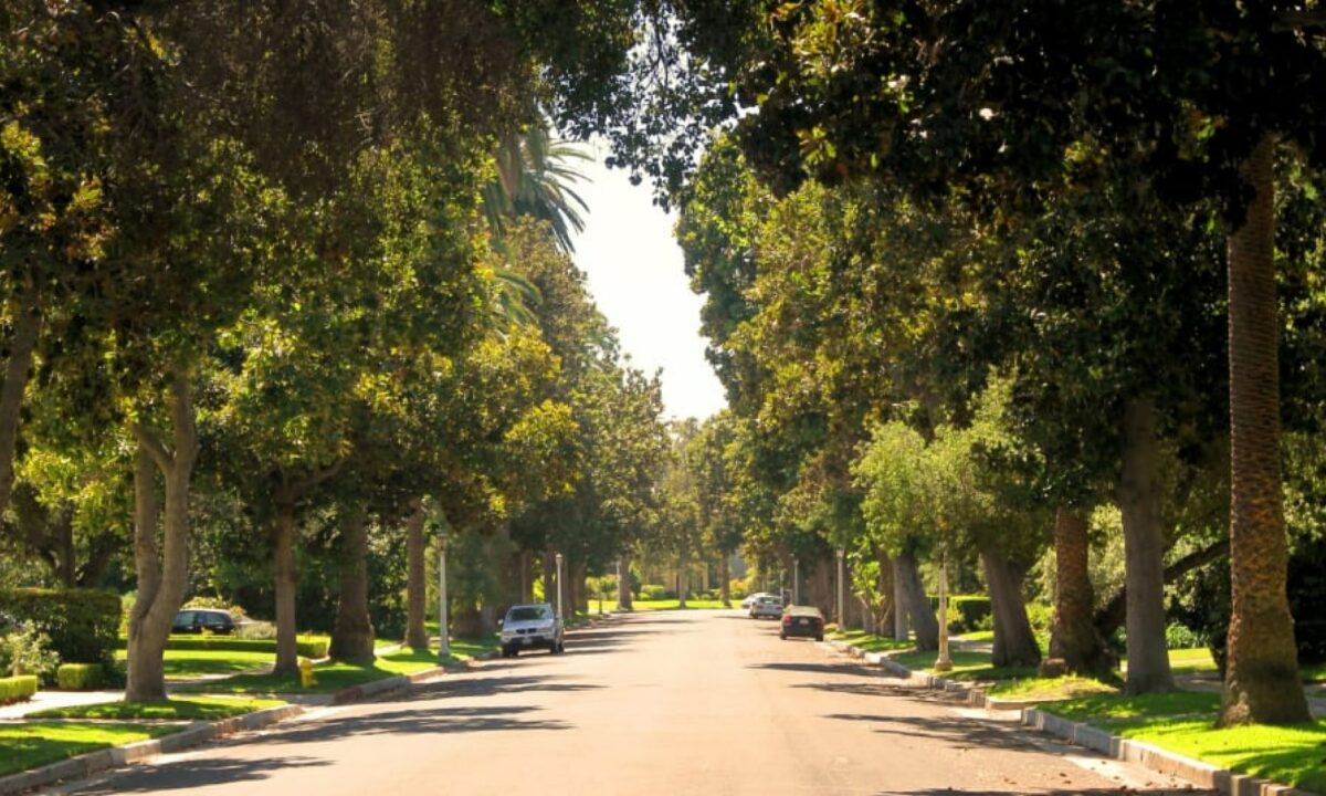 How We Helped Meg Middleman Build a Memorable and Engaging Social Media ...